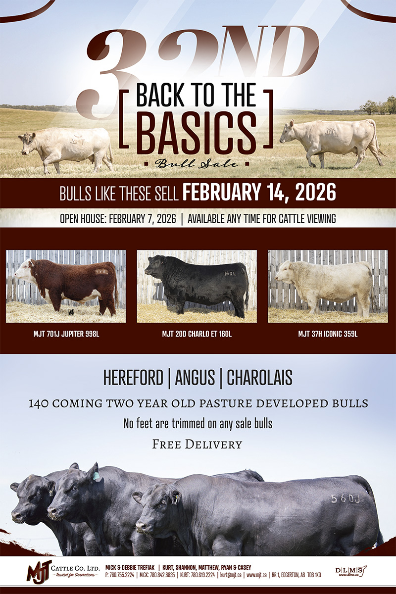 Bull & Cattle Sales & Events | MJT Cattle Co. Ltd., Canada